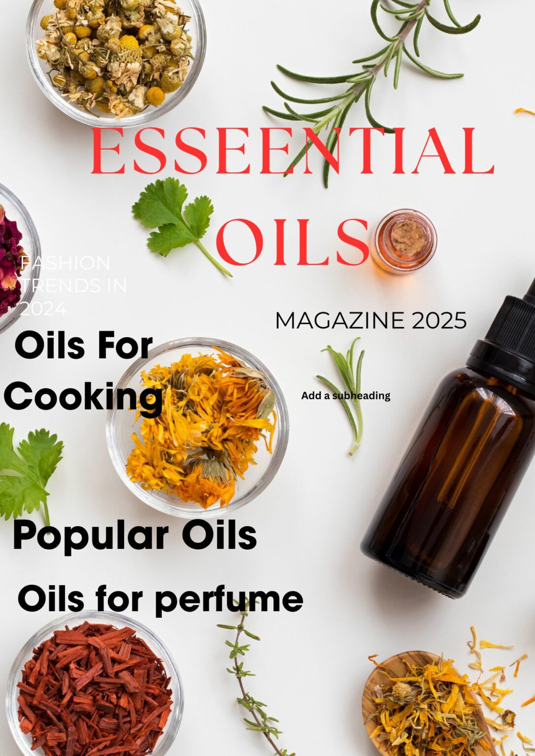 Dream Life Mastery Review - Bongaree Product Reviews